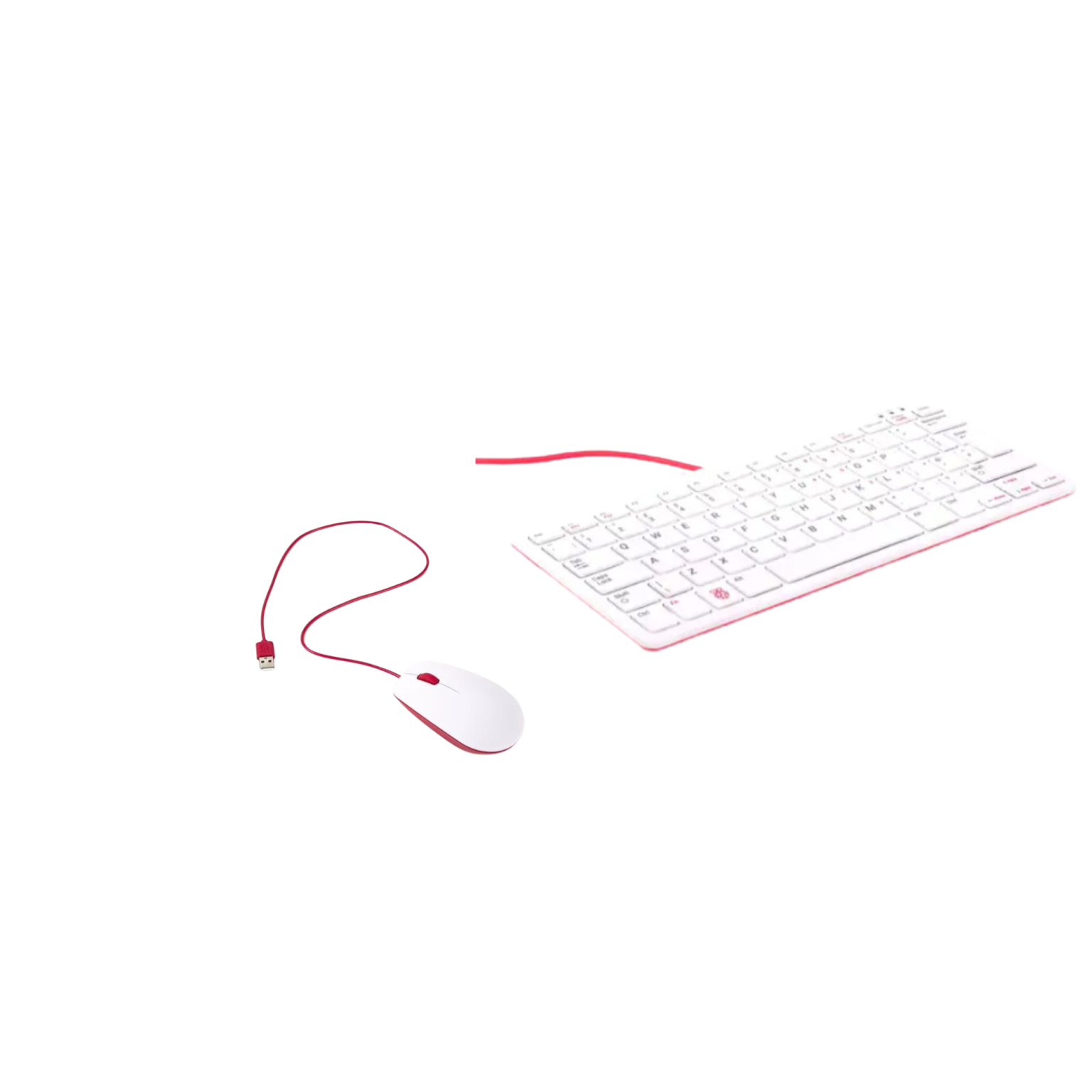 Kit starter Plus Raspberry pi 5 + M.2 Hat+ - Aytoo, Distributeur ...